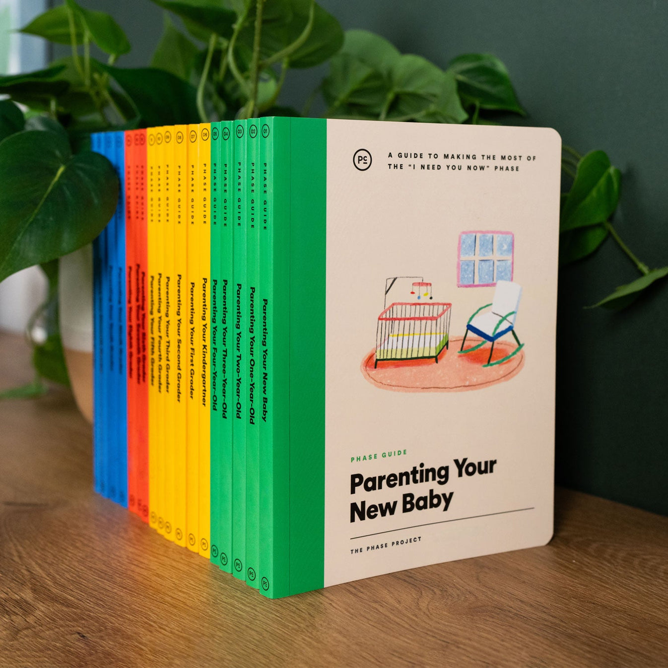 Phase Guide Variety Pack - 18 Books – Think Orange Store